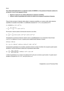 Esercizi su notazione scientifica e ordini di grandezza